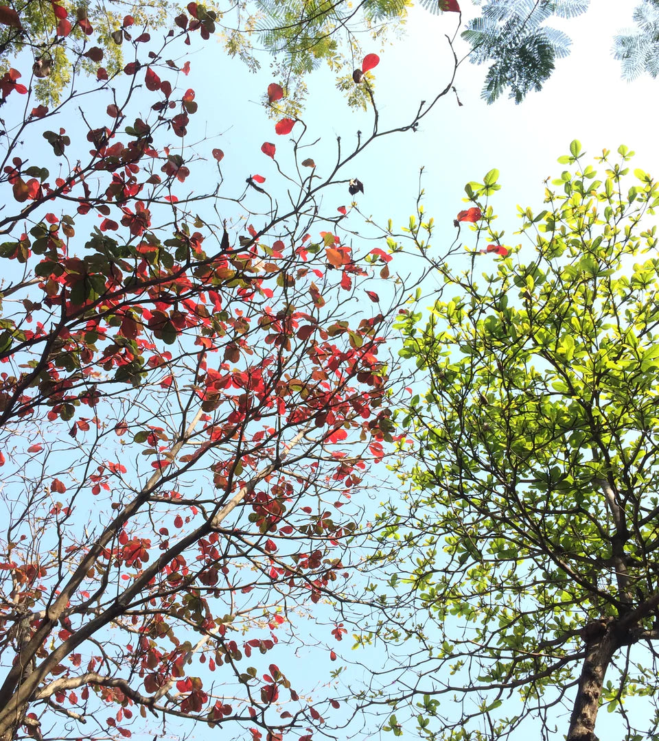 Am I Going Through a Second Puberty?– Sunny